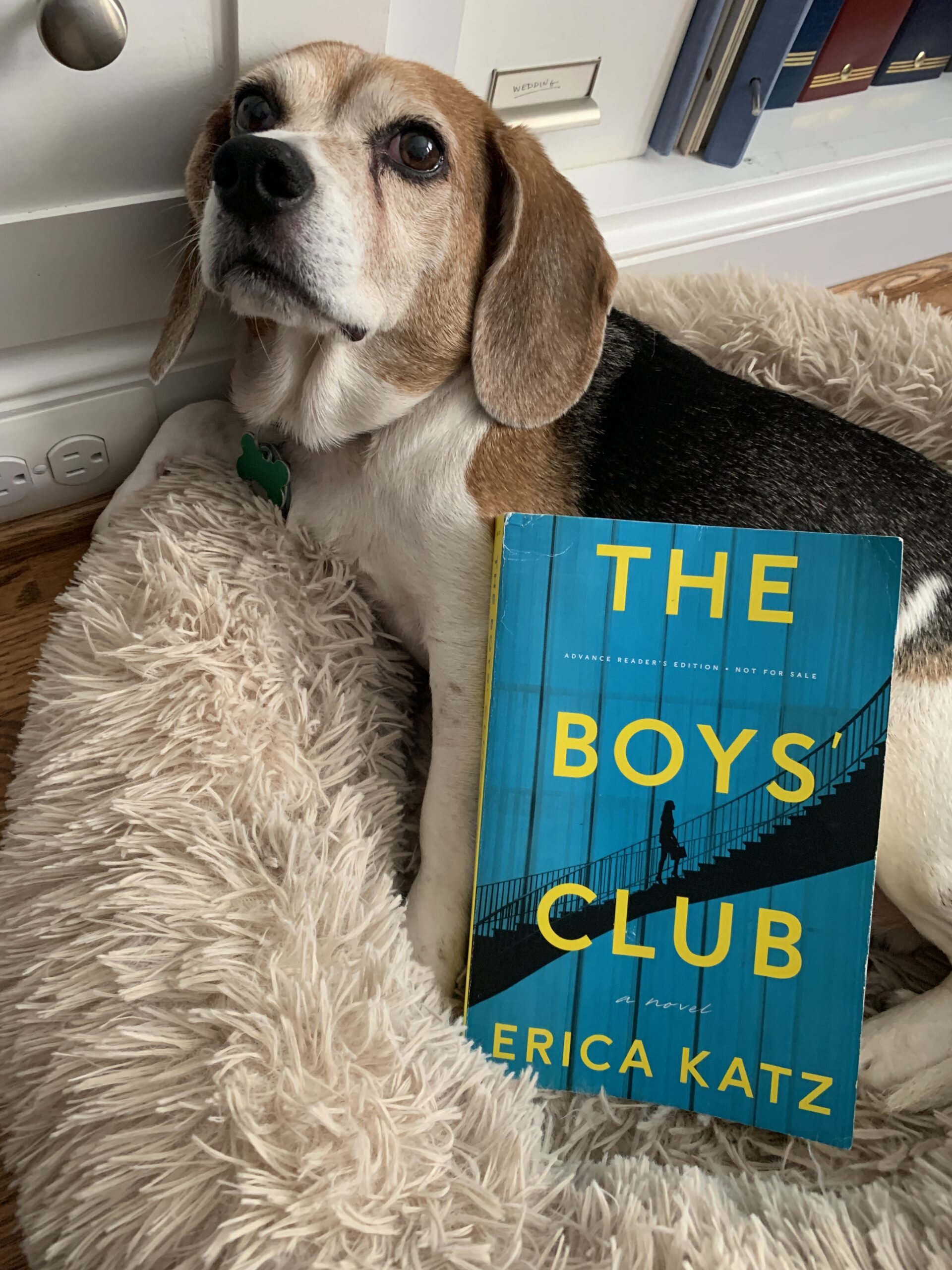 THE BOYS' CLUB by Erica Katz - Everyday I Write the Book